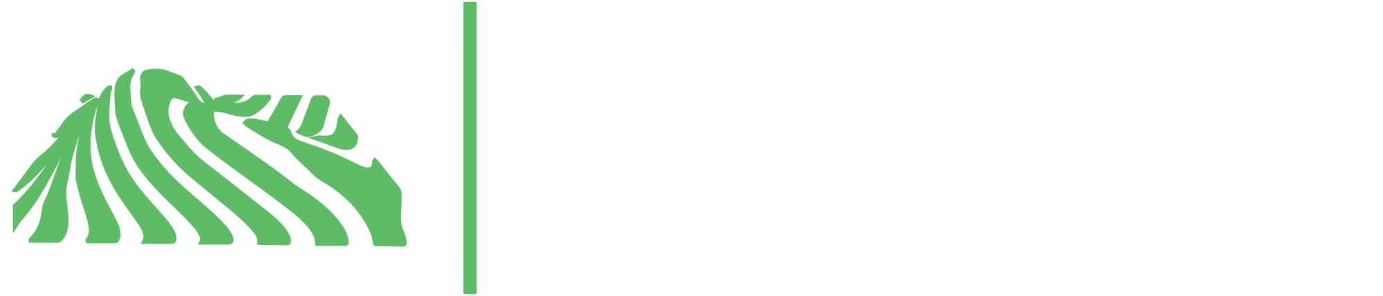 Things to do in Susanville California – Local Insights Central